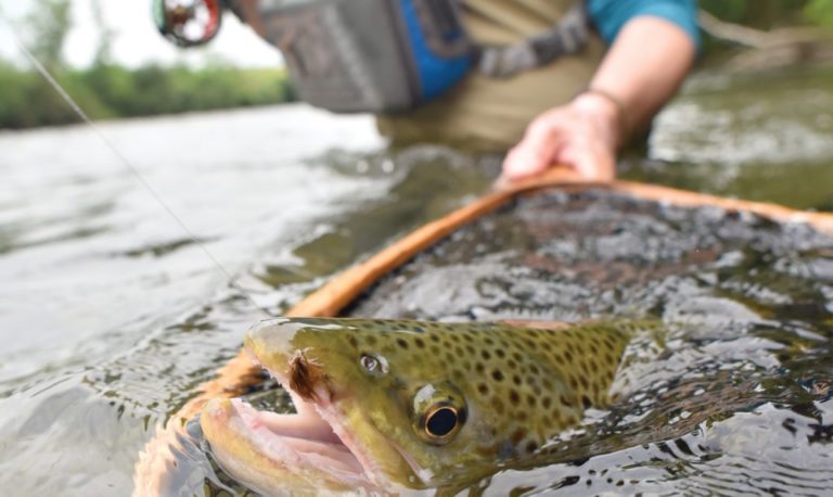 Camp Geronimo – Grand Canyon Council BSA